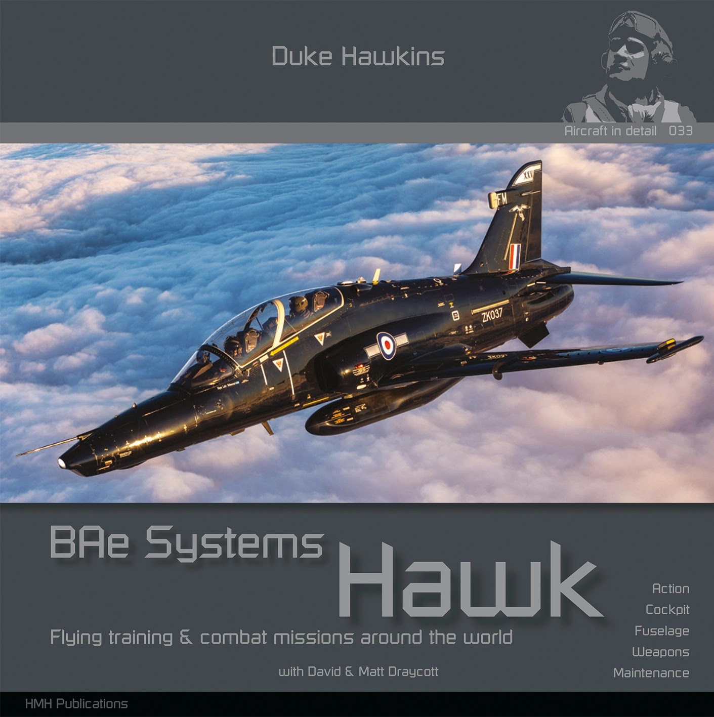 BAE Systems Hawk is a Duke Hawkins/HPH product. – Hobbyzero