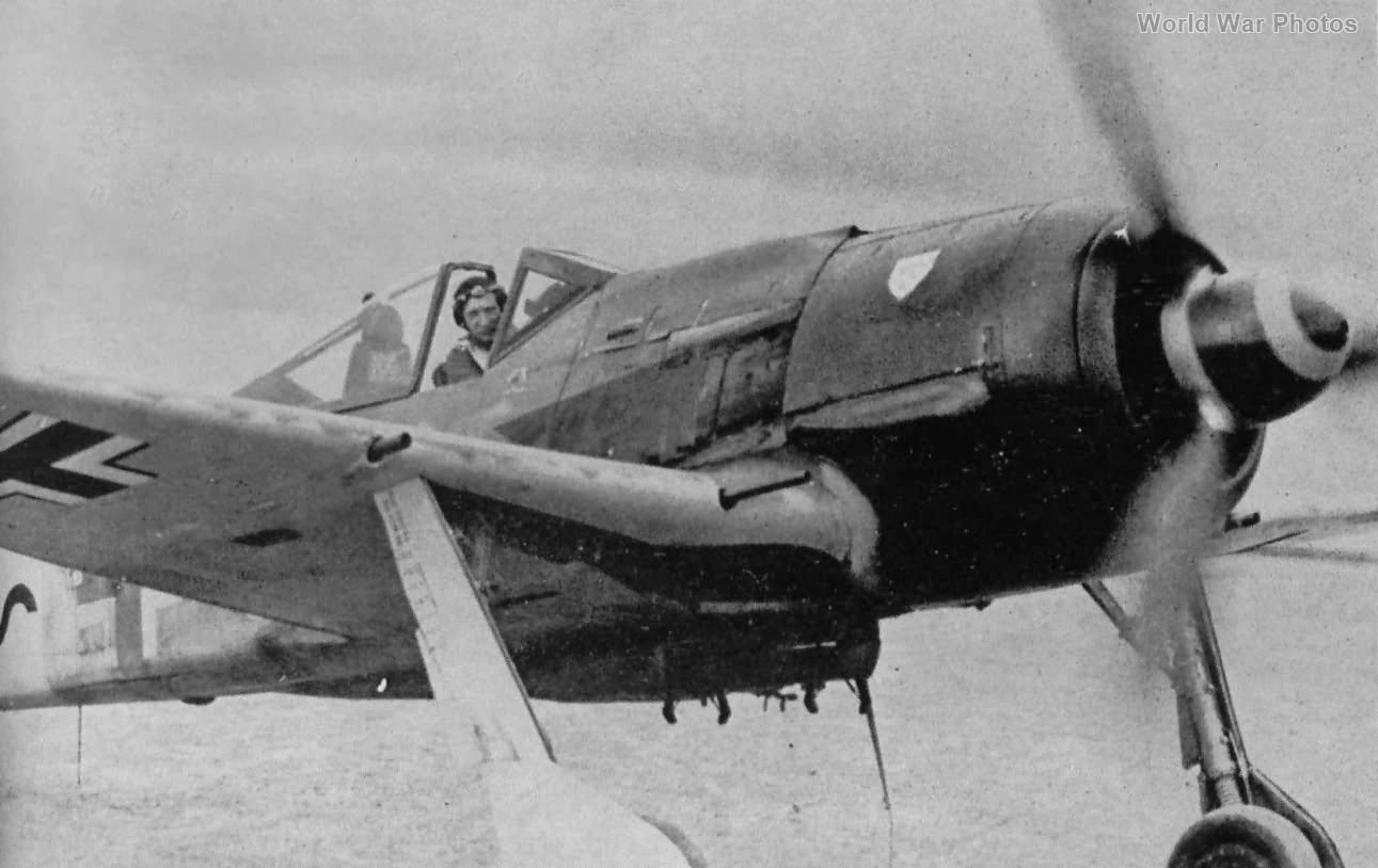 The Border Model Fw 190 A-8 in 35th Scale – Hobbyzero